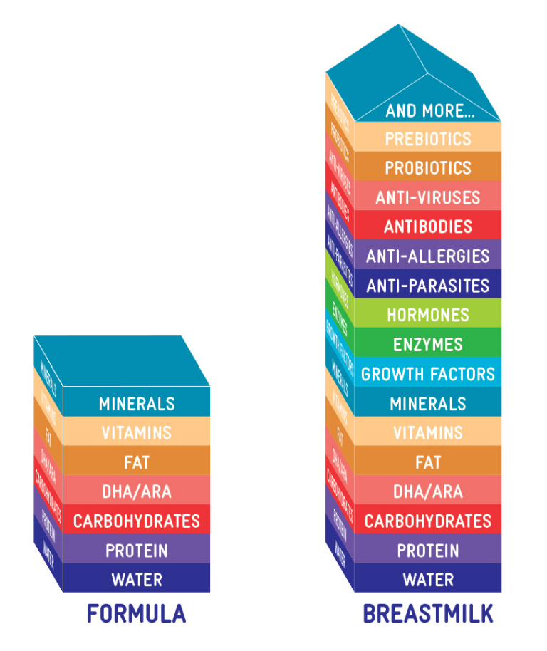 Women, Infants & Children (WIC) - Charles County Department of Health