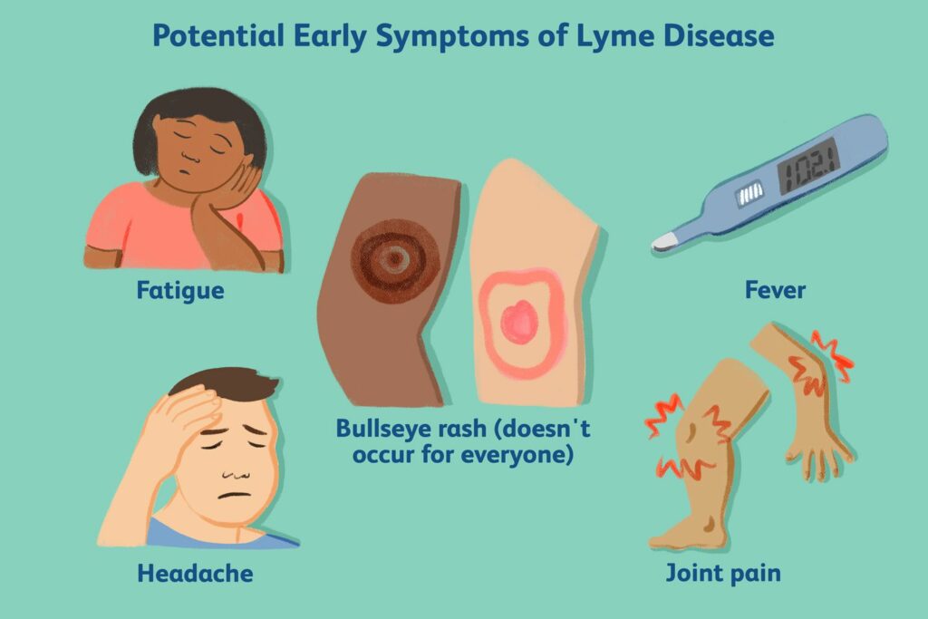 Lyme Disease What You Should Know - Charles County Department of Health